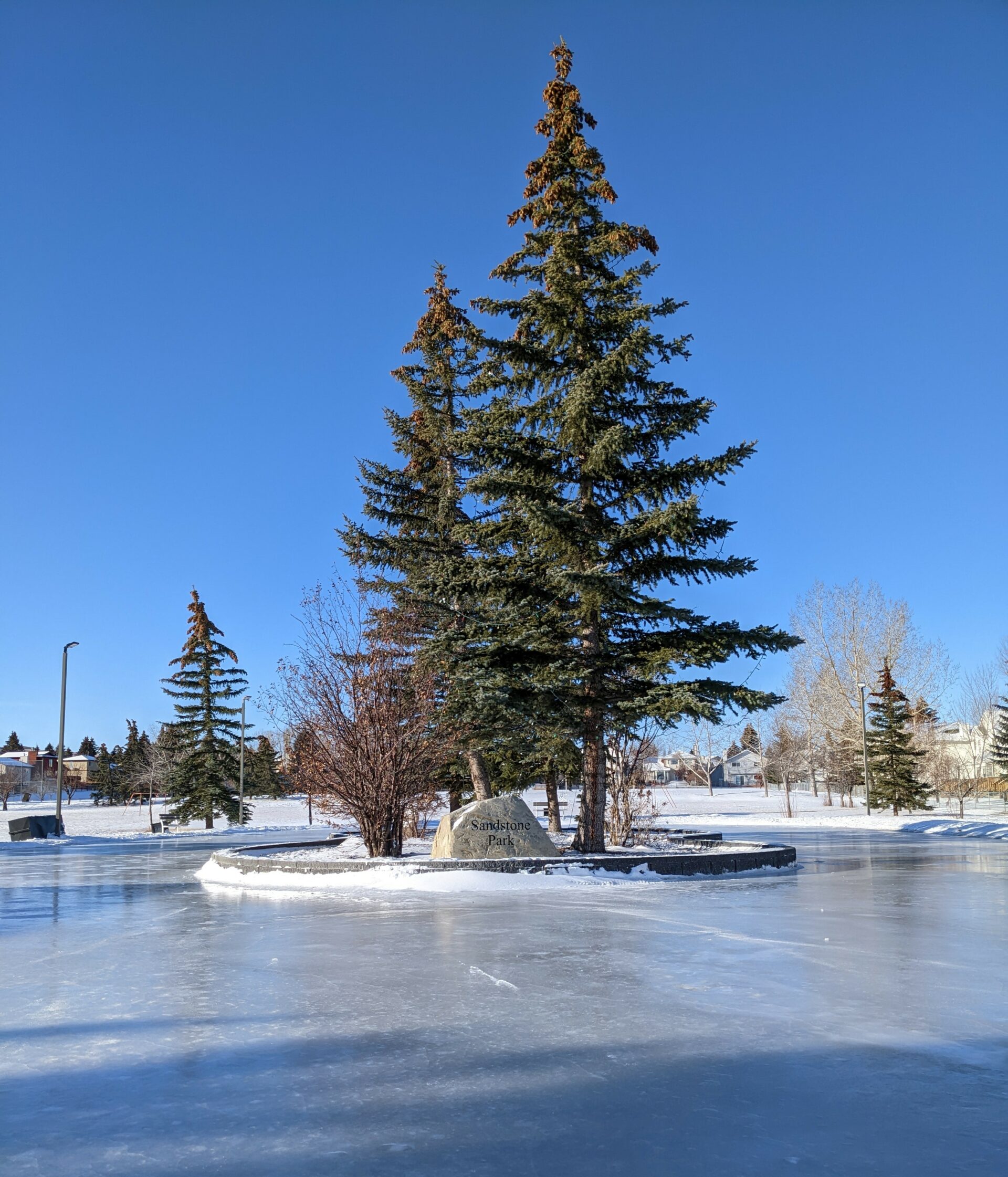 Outdoor Rinks – Sandstone MacEwan Community Association
